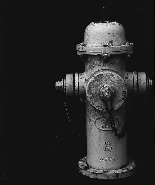 Nick Bennett Photography | Blog